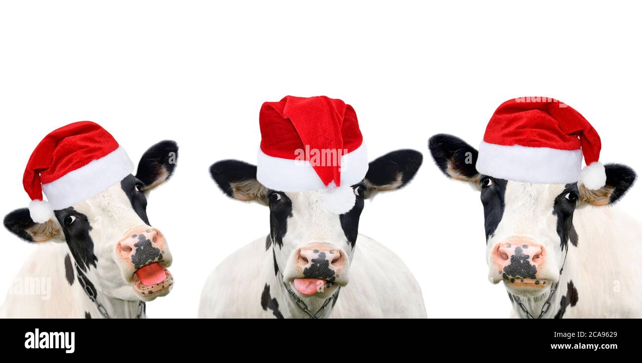 Vache De Noël