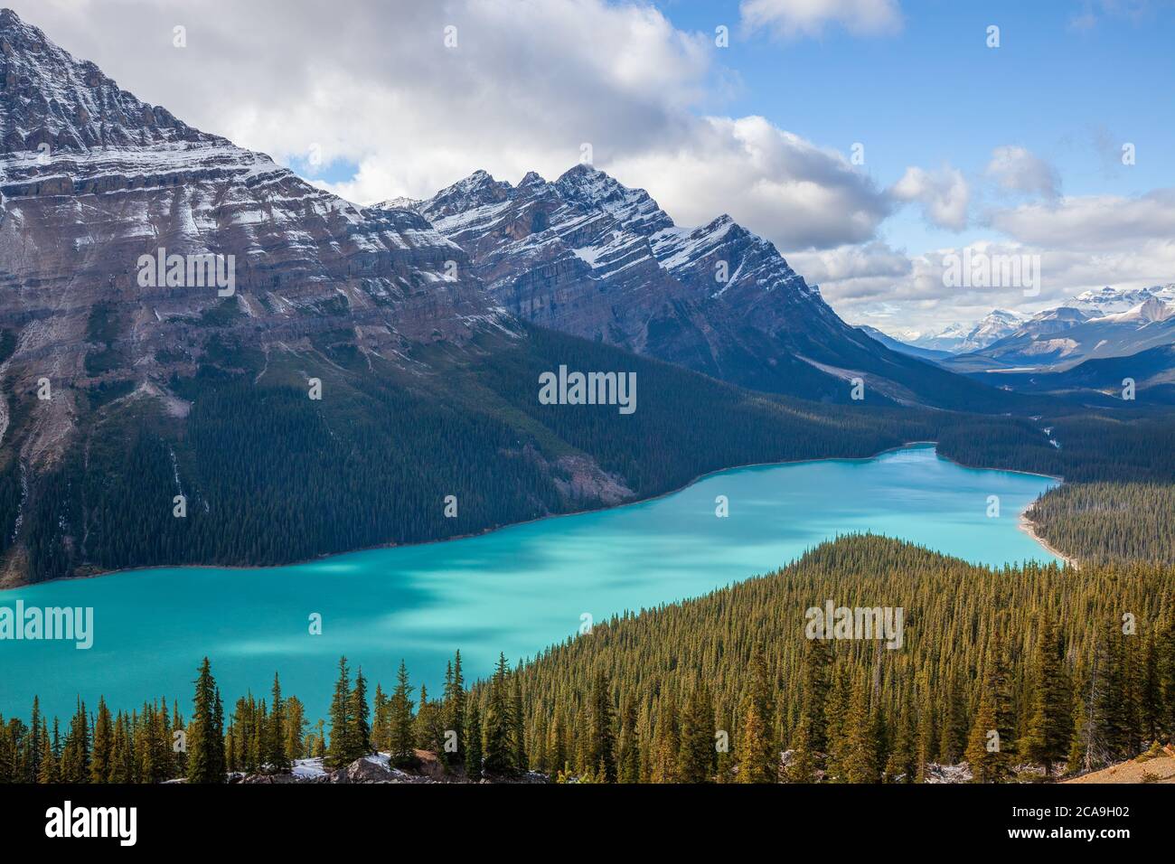 Parc national du lac peyto banff Banque de photographies et d’images à ...
