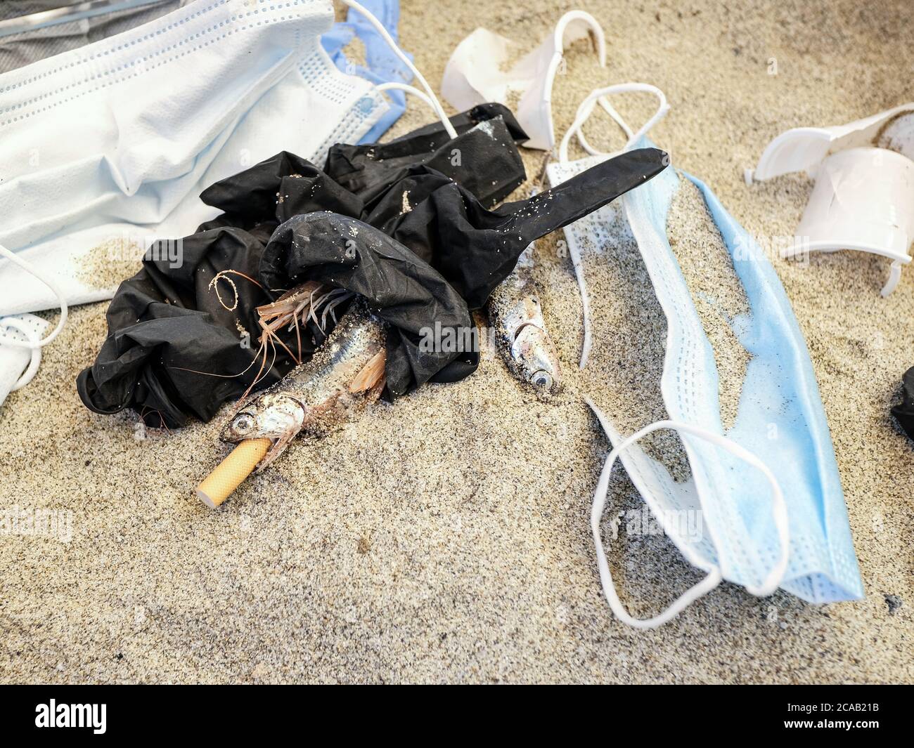 Poissons d'anchois morts avec la bouche de la cigarette sur le bord de ...
