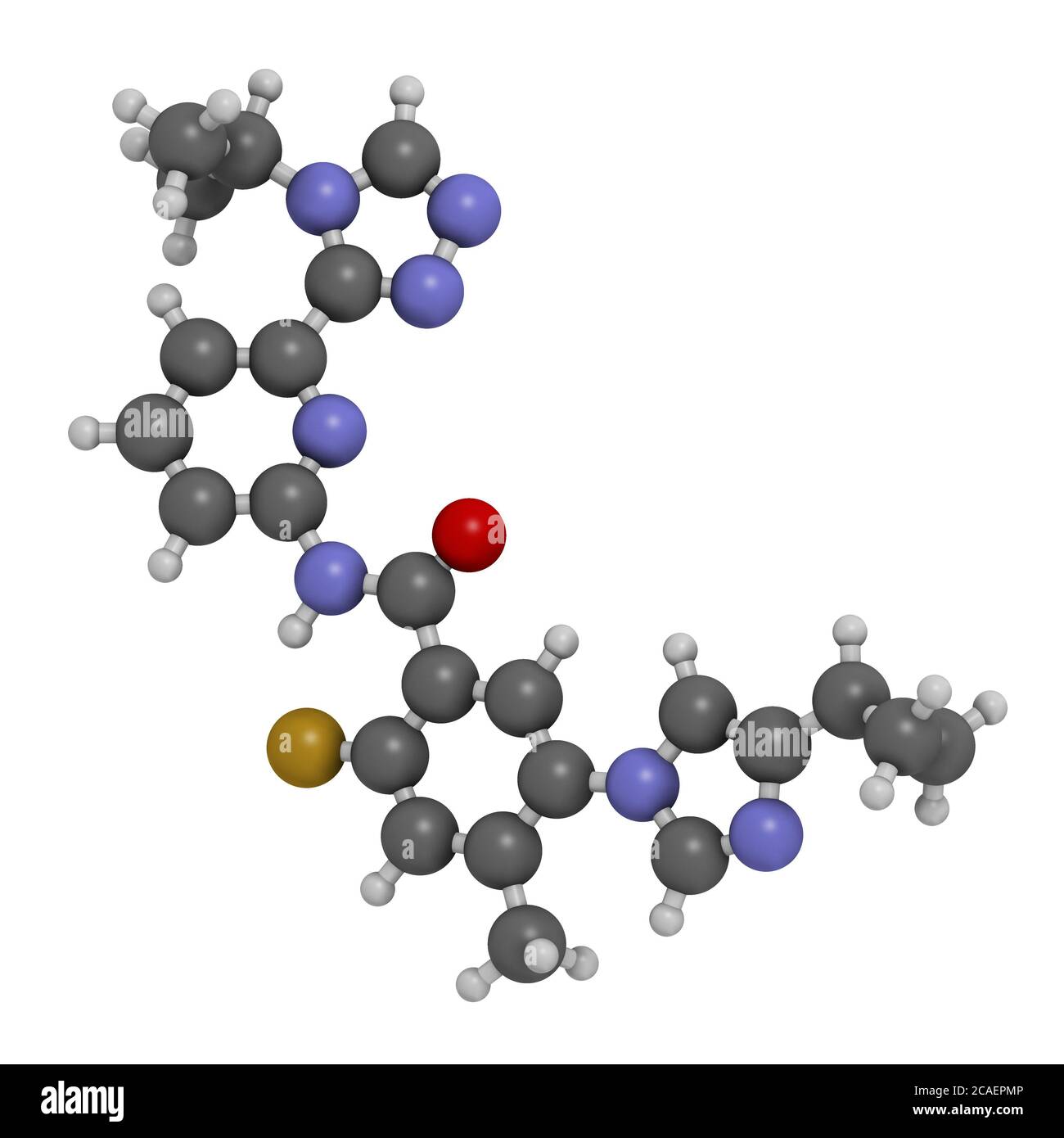 Fibrome utérin Banque de photographies et d’images à haute résolution ...