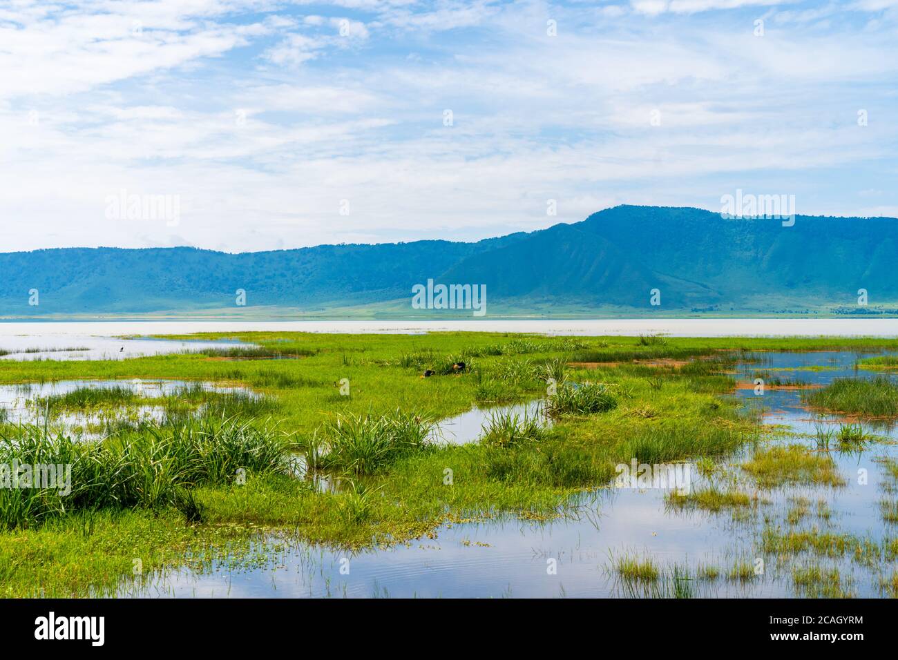 Vue panoramique sur le cratère de Ngorongoro en Tanzanie, Afrique de l ...