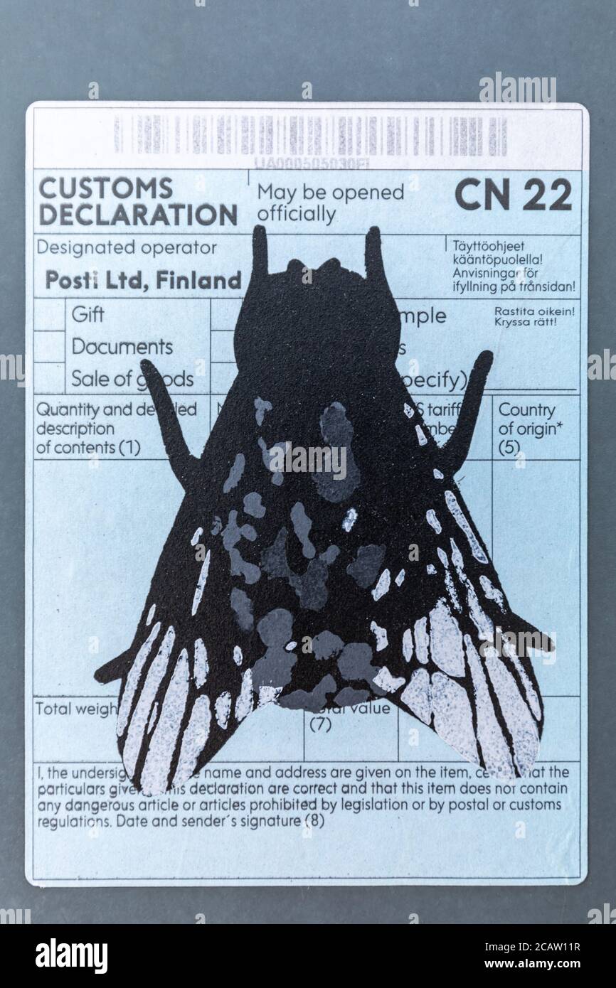 Fly sticker Banque de photographies et d’images à haute résolution - Alamy