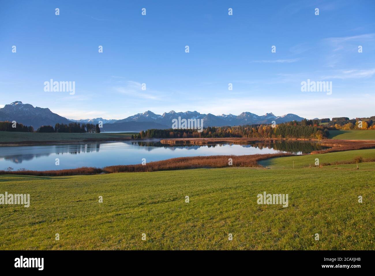Lac forggensee allgaeu bavière Banque de photographies et d’images à ...