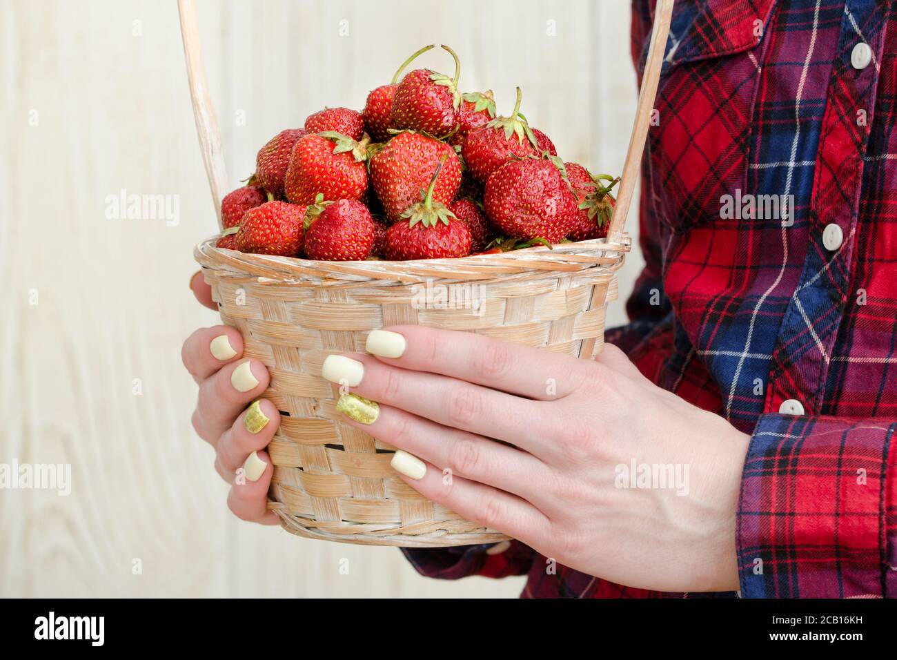 Les mains des femmes tiennent un panier en osier de fraises mûres ...