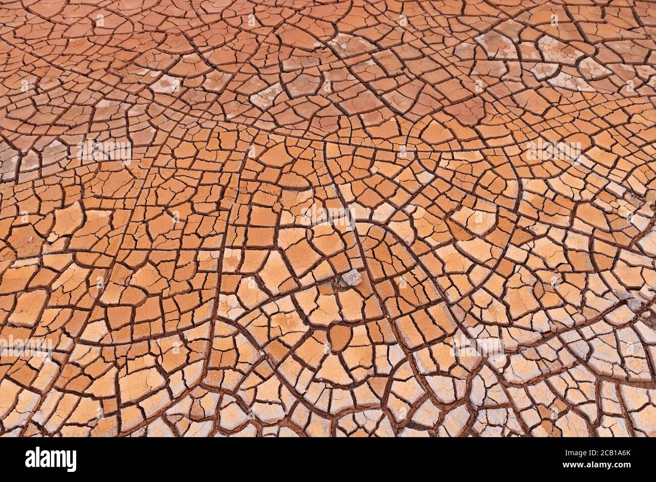 Champ de sol argileux Banque de photographies et d’images à haute ...