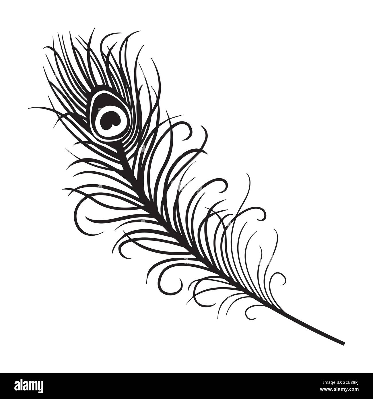 Plume de paon vector dessinée à la main. Objet isolé sur fond blanc ...