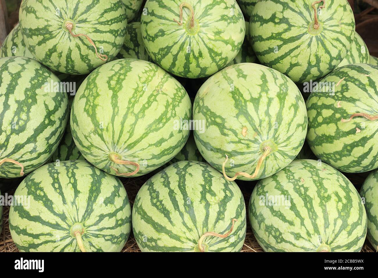 Watermelon stack Banque de photographies et d’images à haute résolution ...