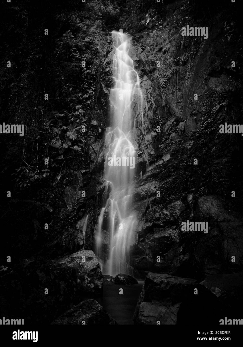 Ng tung chai Banque d'images noir et blanc - Alamy