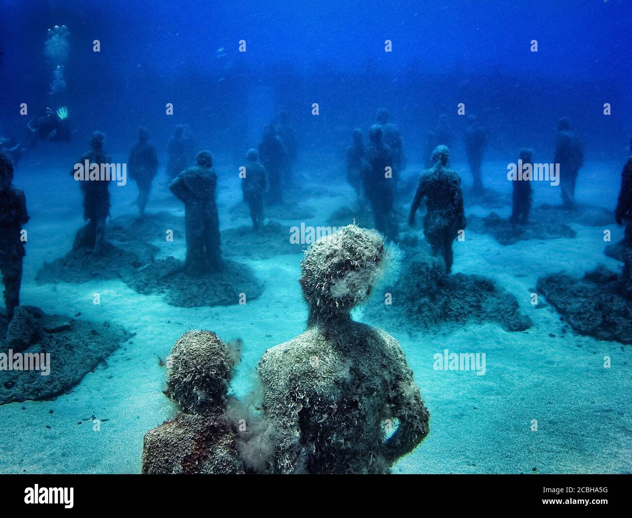 Art sous marin Banque de photographies et d’images à haute résolution ...