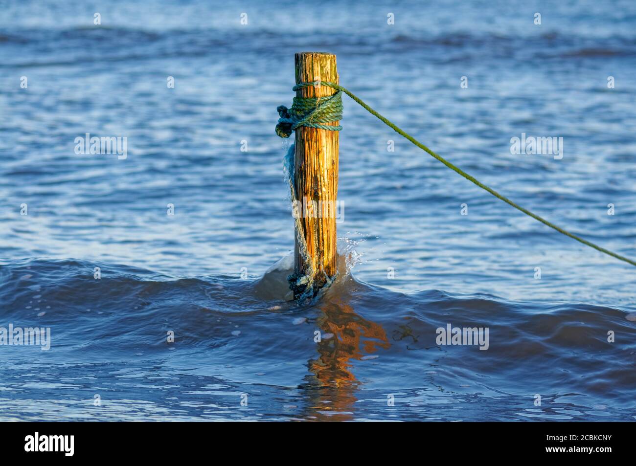 Pieu de filet de mer Banque de photographies et d’images à haute ...
