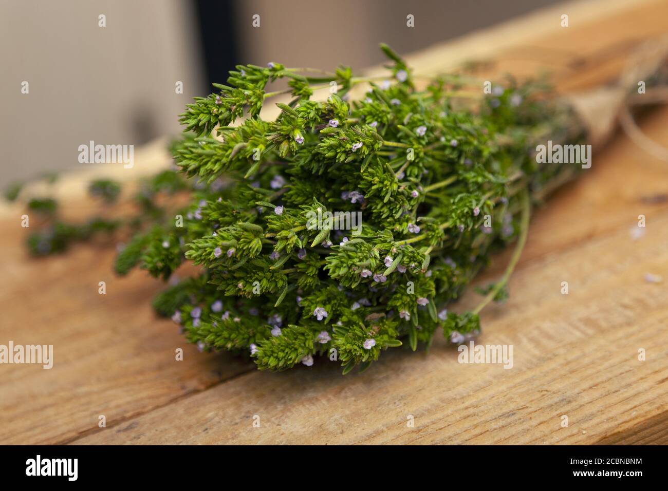 Plante De Thym Sauvage Banque d'image et photos - Alamy