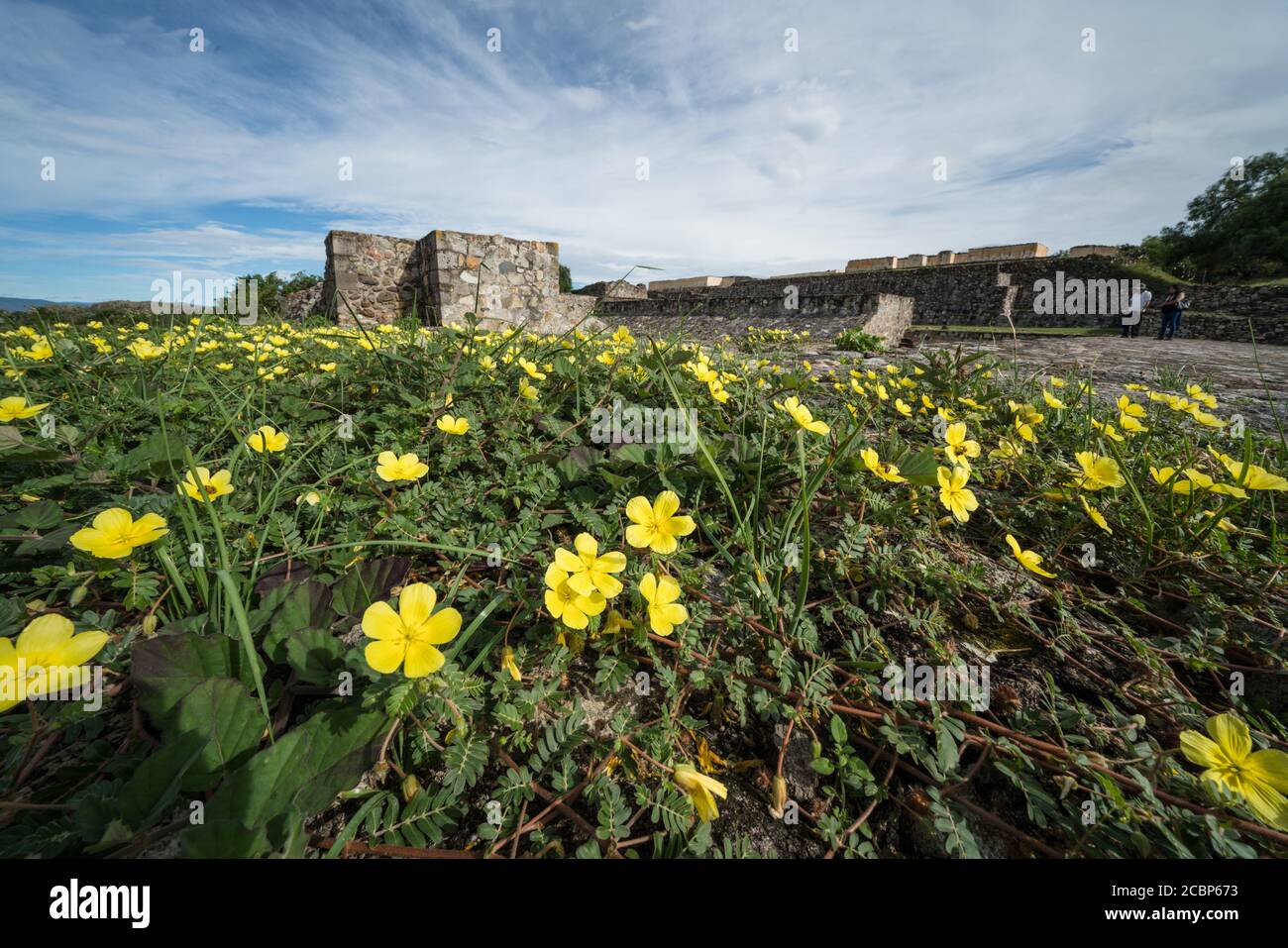 Le terrain de balle des ruines de Zapotec de Yagul est le plus grand ...