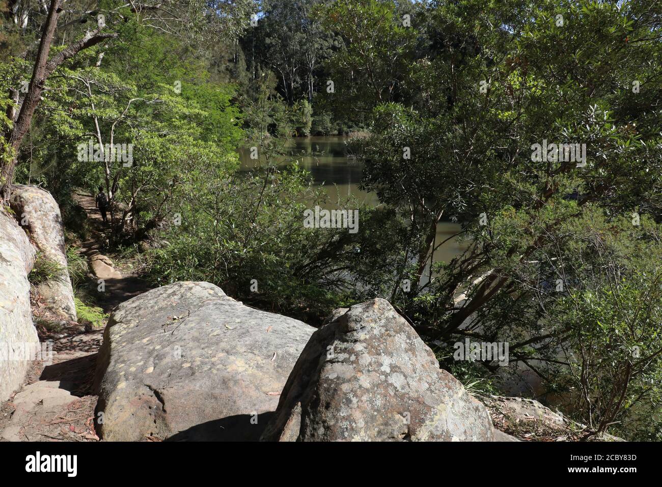 La rivière Lane Cove vue depuis Riverside Walk, parc national de Lane ...