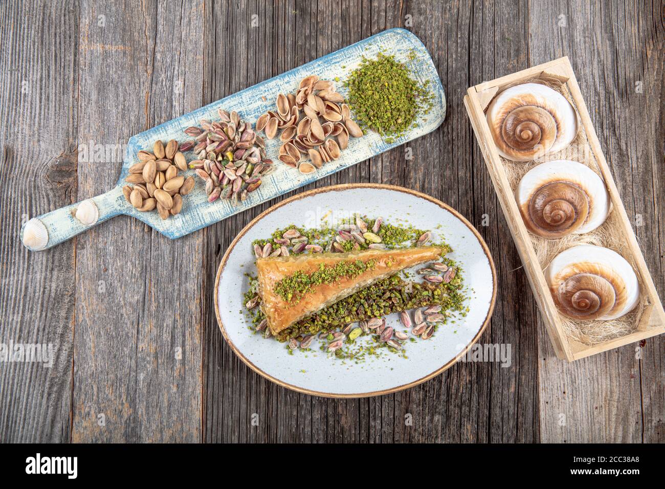 Turkish snail Banque de photographies et d’images à haute résolution ...