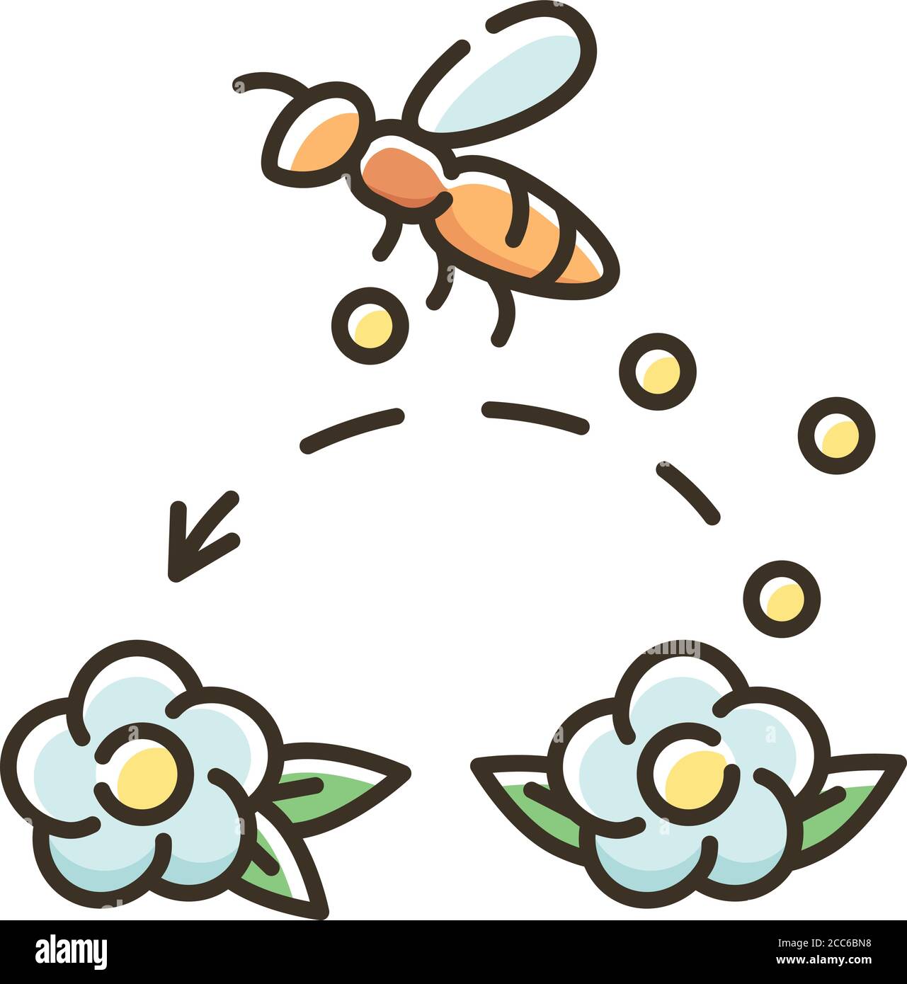 Processus de pollinisation des abeilles Banque d'images vectorielles ...