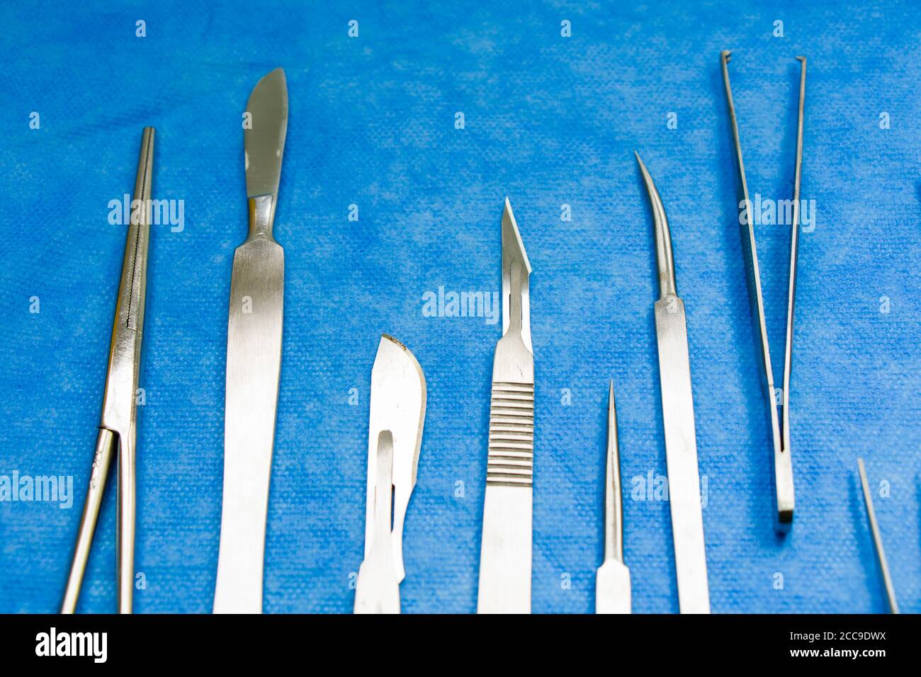 Kit de dissection Banque de photographies et d’images à haute ...