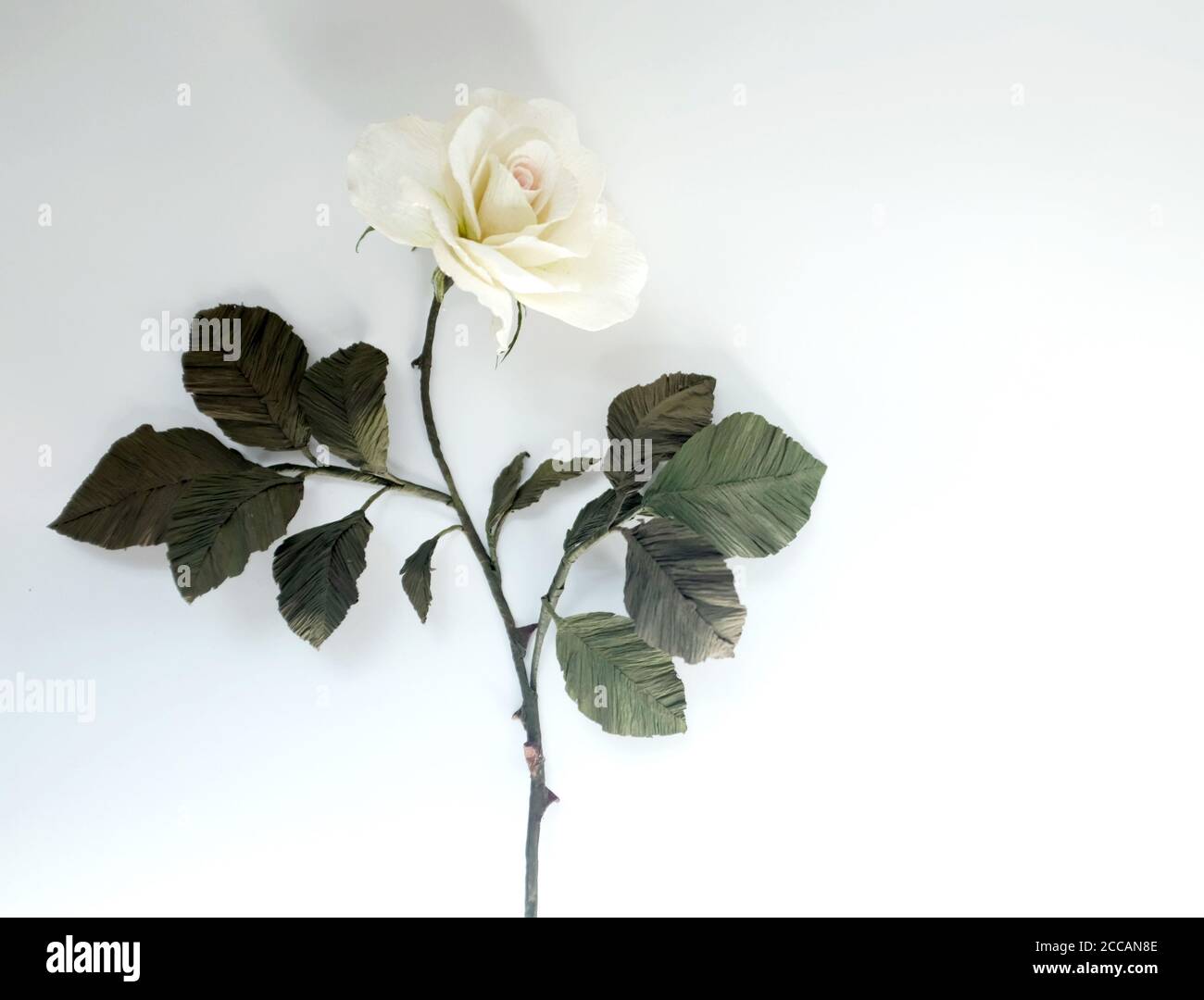 Modelo de papel Banque de photographies et d’images à haute résolution ...