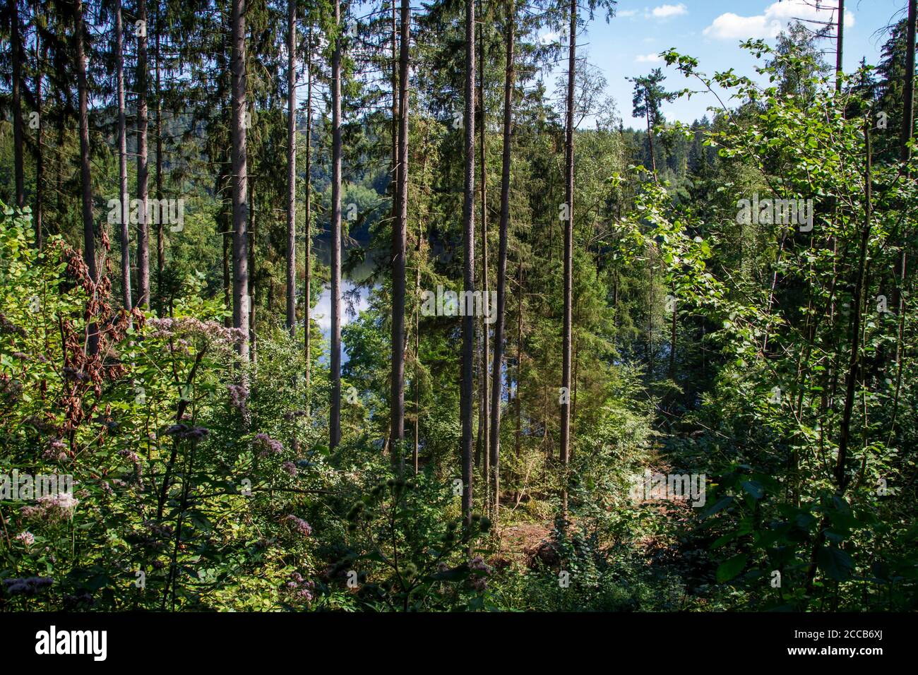 Stausee dobra Banque de photographies et d’images à haute résolution ...