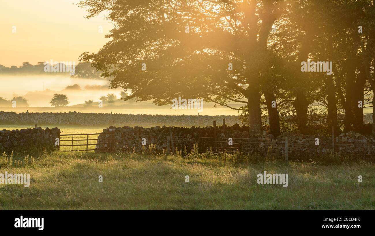 Stoke camp Banque de photographies et d’images à haute résolution - Alamy