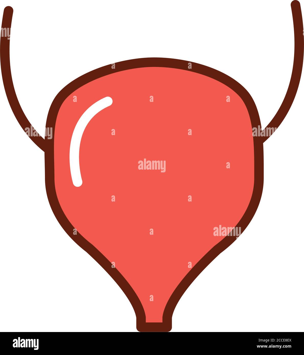 corps humain vessie anatomie organe santé ligne et icône de remplissage ...