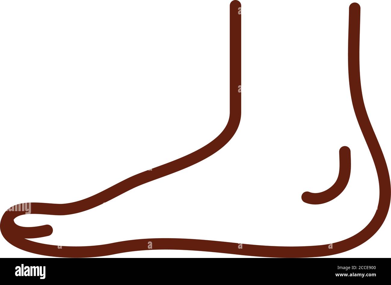 corps humain cheville pied anatomie organe ligne de santé style icône ...