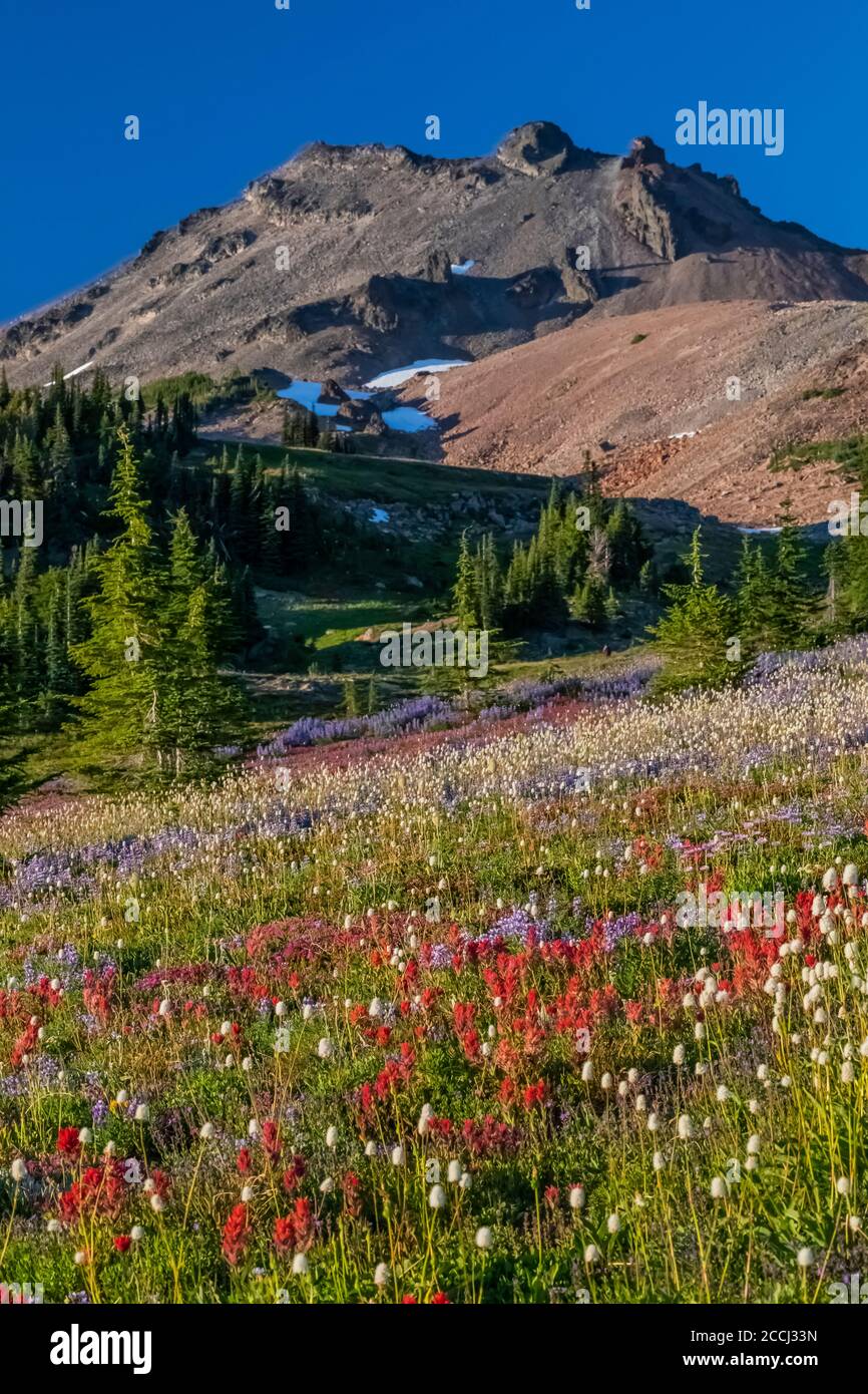 Ives pic Banque de photographies et d’images à haute résolution - Alamy