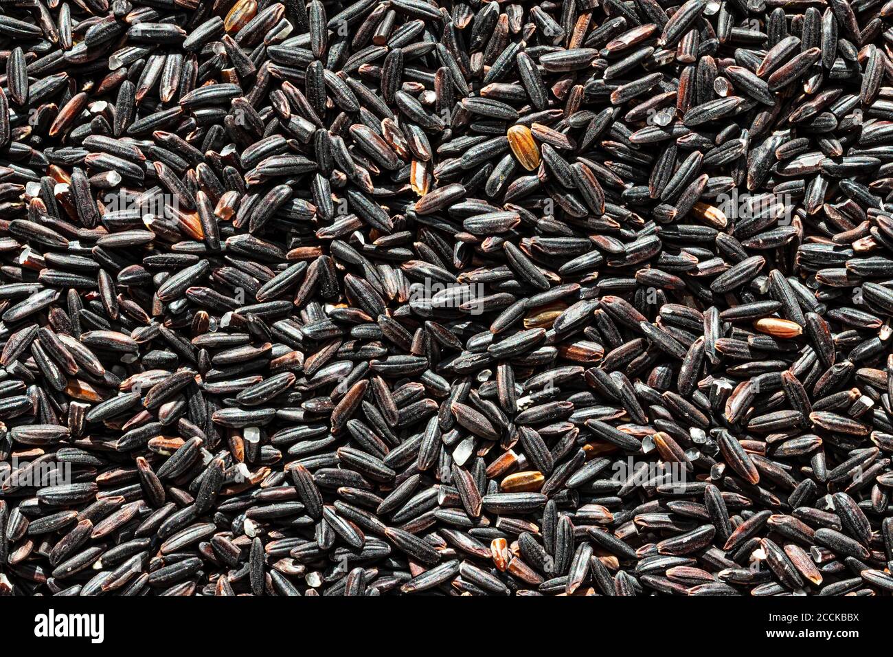 Arrière-plan ou texture de grains de riz sauvage noirs. Aliments ...