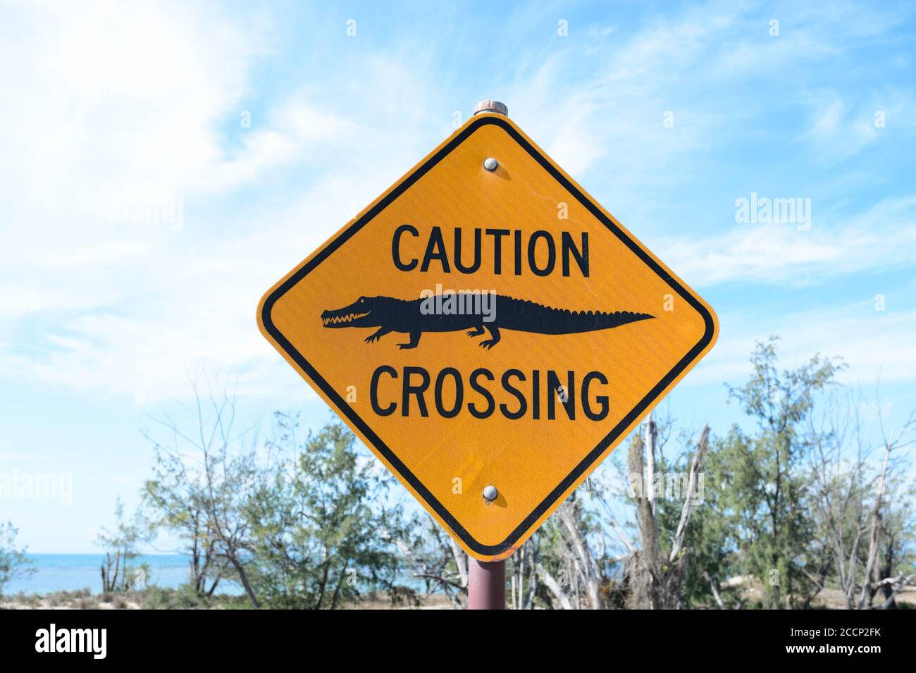 Crocodile warning road sign Banque de photographies et d’images à haute ...