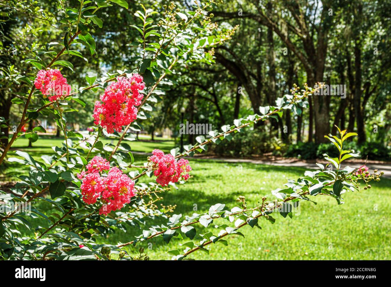 Espace vert parc public Banque de photographies et d’images à haute ...