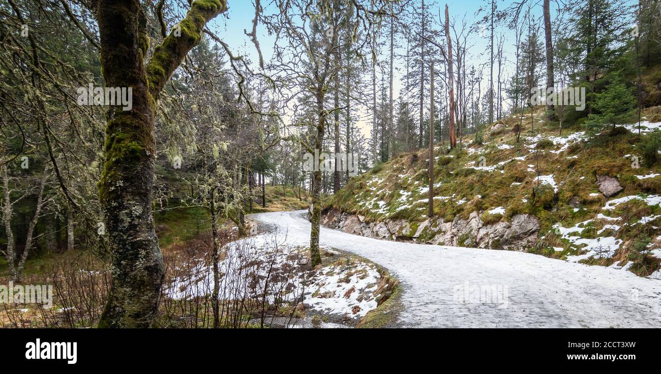 Scandinavie scandinave Banque de photographies et d’images à haute ...