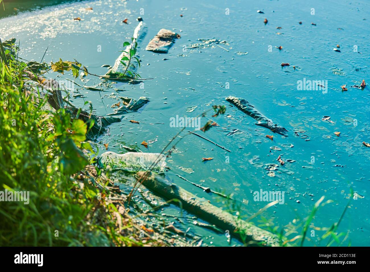 Pollution de l'eau dans l'environnement. Rivière polluée - eau verte ...