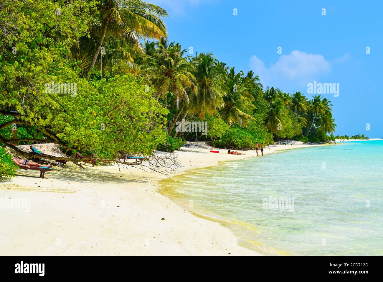 Plage ensoleillée avec sable blanc, palmiers à noix de coco et mer ...