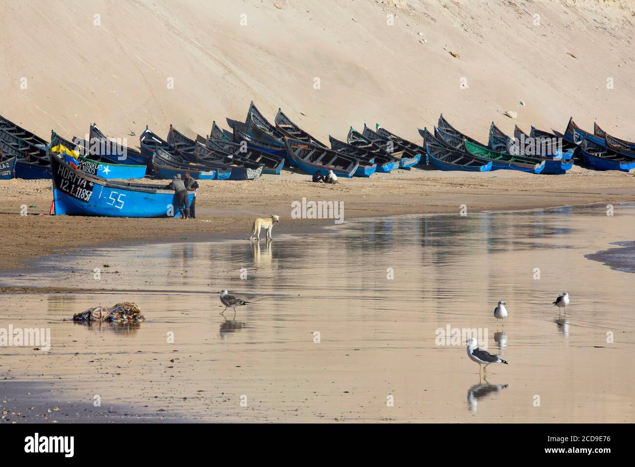 Dakhla plage Banque de photographies et d’images à haute résolution - Alamy