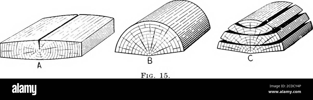 . Identification des bois économiques des États-Unis, y compris une ...