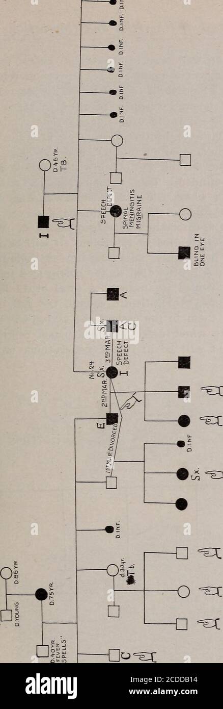 Accouplement d un homme femme Banque de photographies et d’images à ...