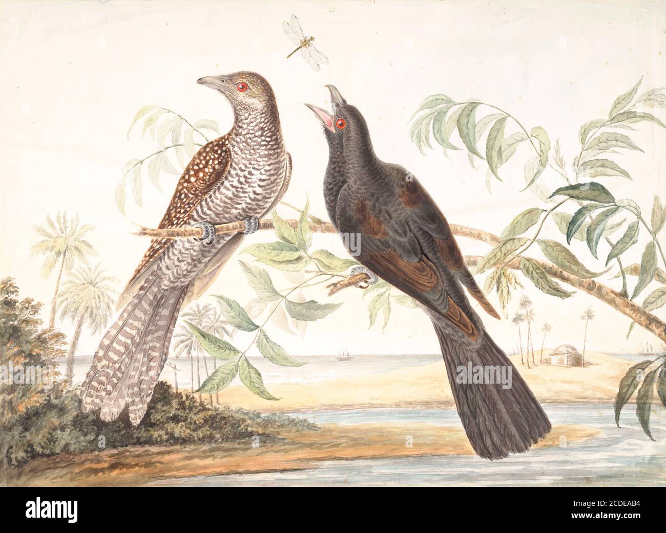 Symbole de la poésie Banque de photographies et d’images à haute ...