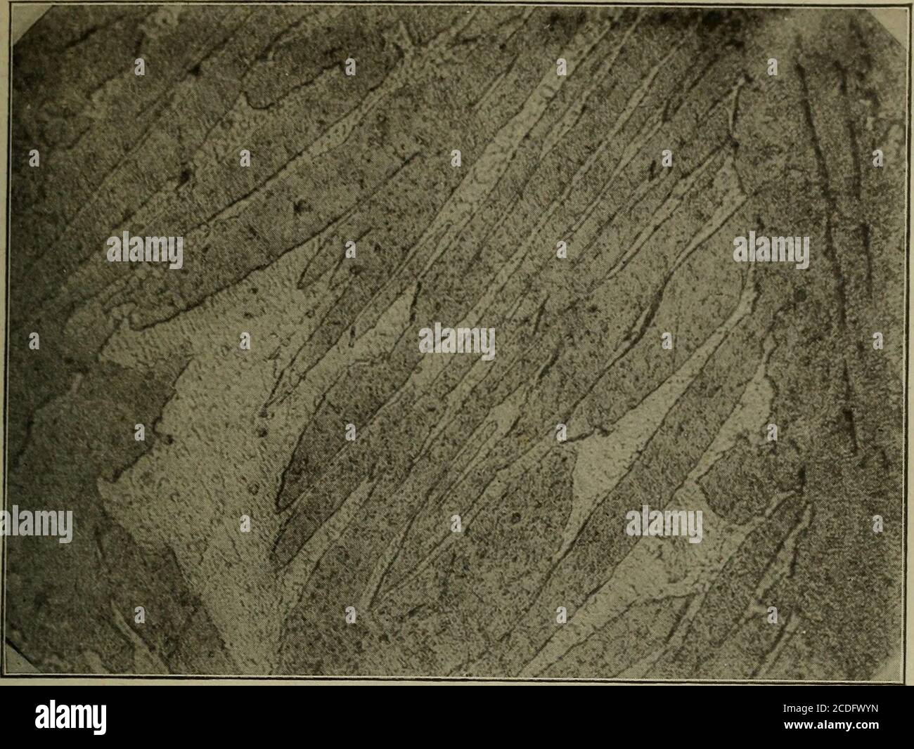 . Cas typiques de la détérioration du métal muntz (laiton 60:40) par ...