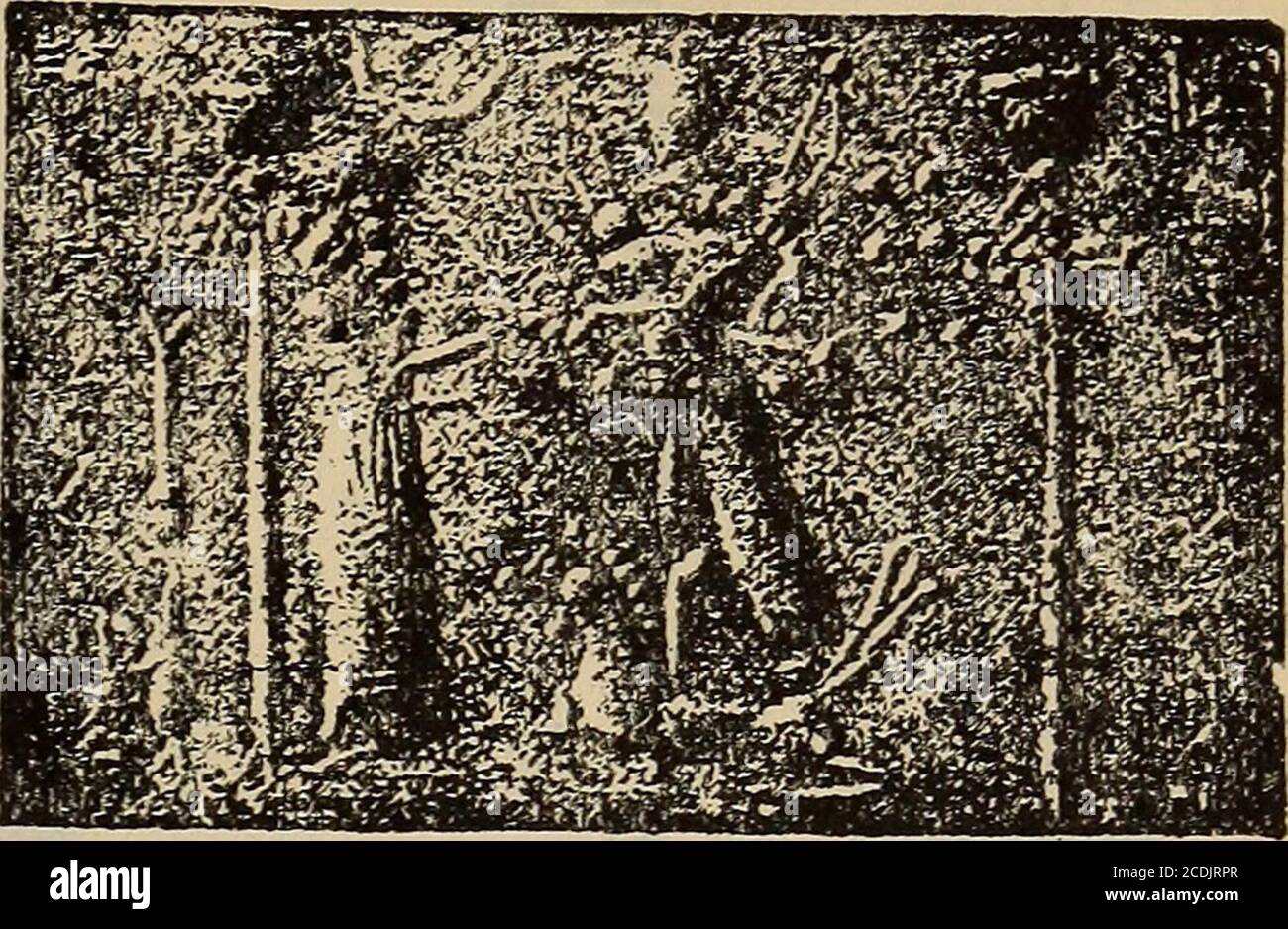 Assur relief Banque de photographies et d’images à haute résolution - Alamy