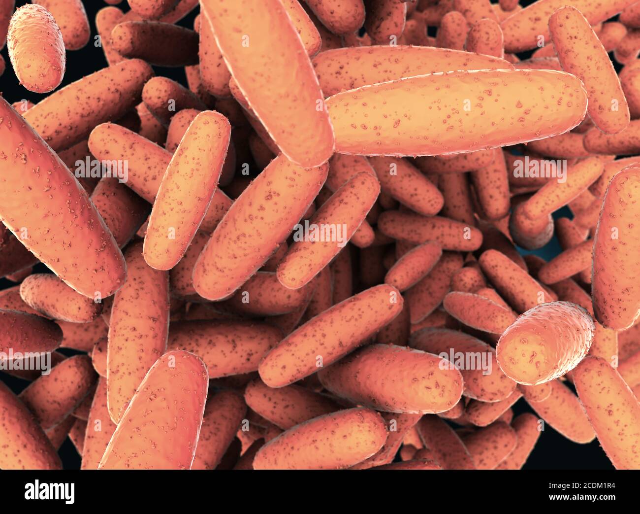 Illustration 3d de la bactérie Pasteurella multocida. Il s'agit d'un ...