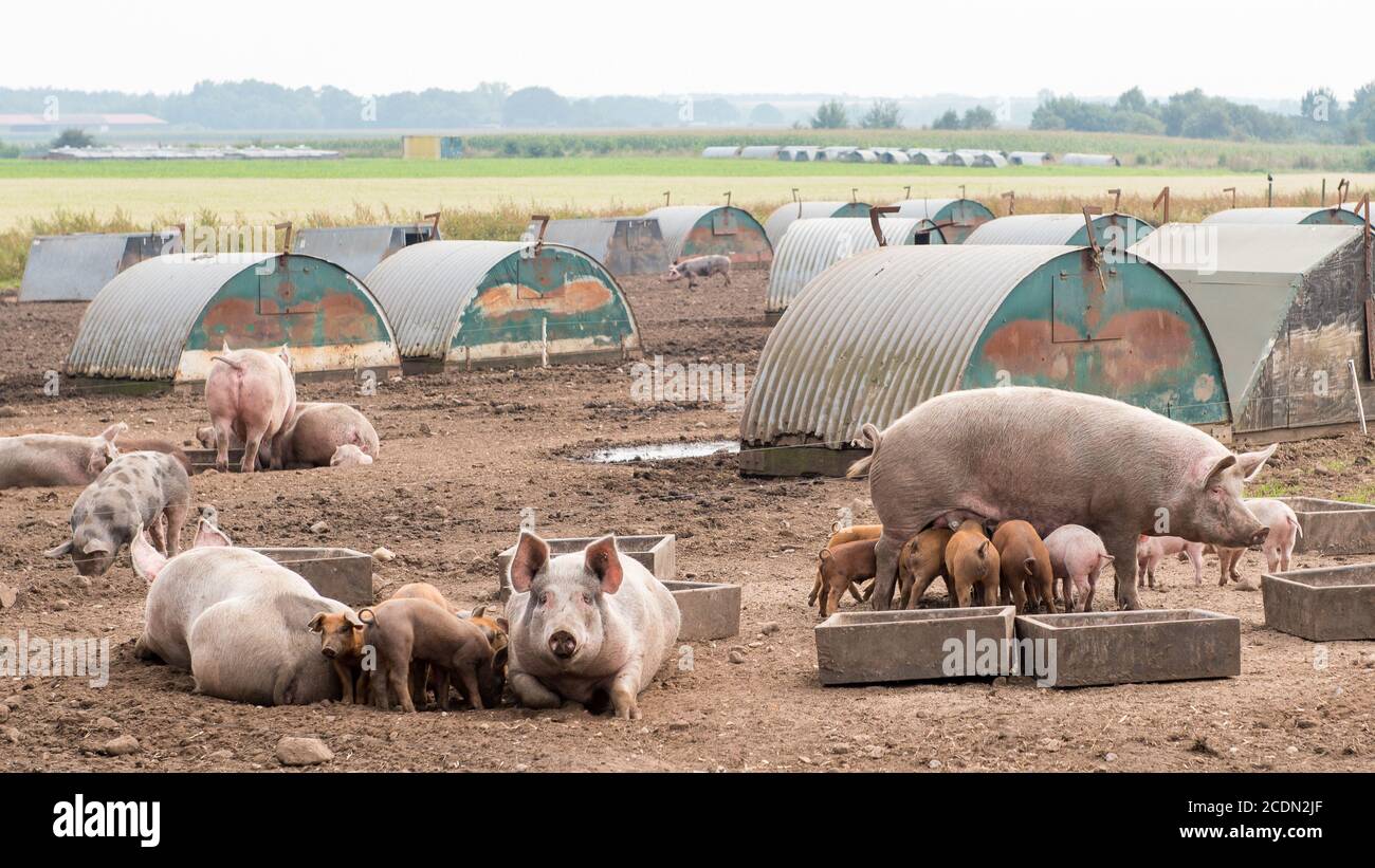 Fermes en plein air Banque de photographies et d’images à haute ...