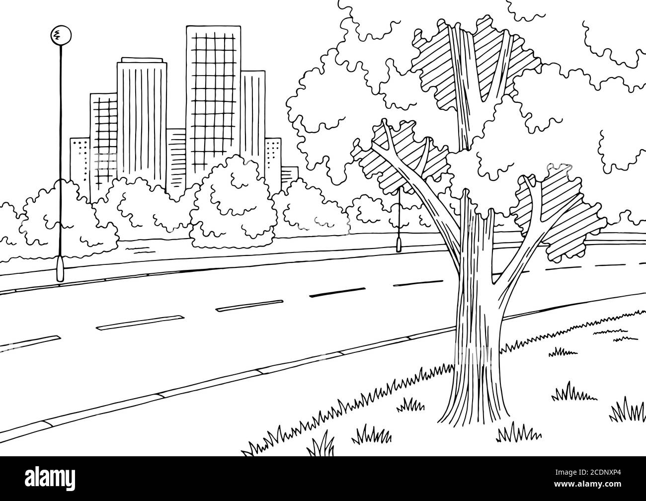 Route du parc de la maison Banque d'images vectorielles - Alamy