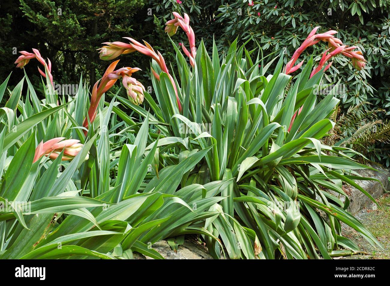 Domaine du mont congreve Banque de photographies et d’images à haute ...