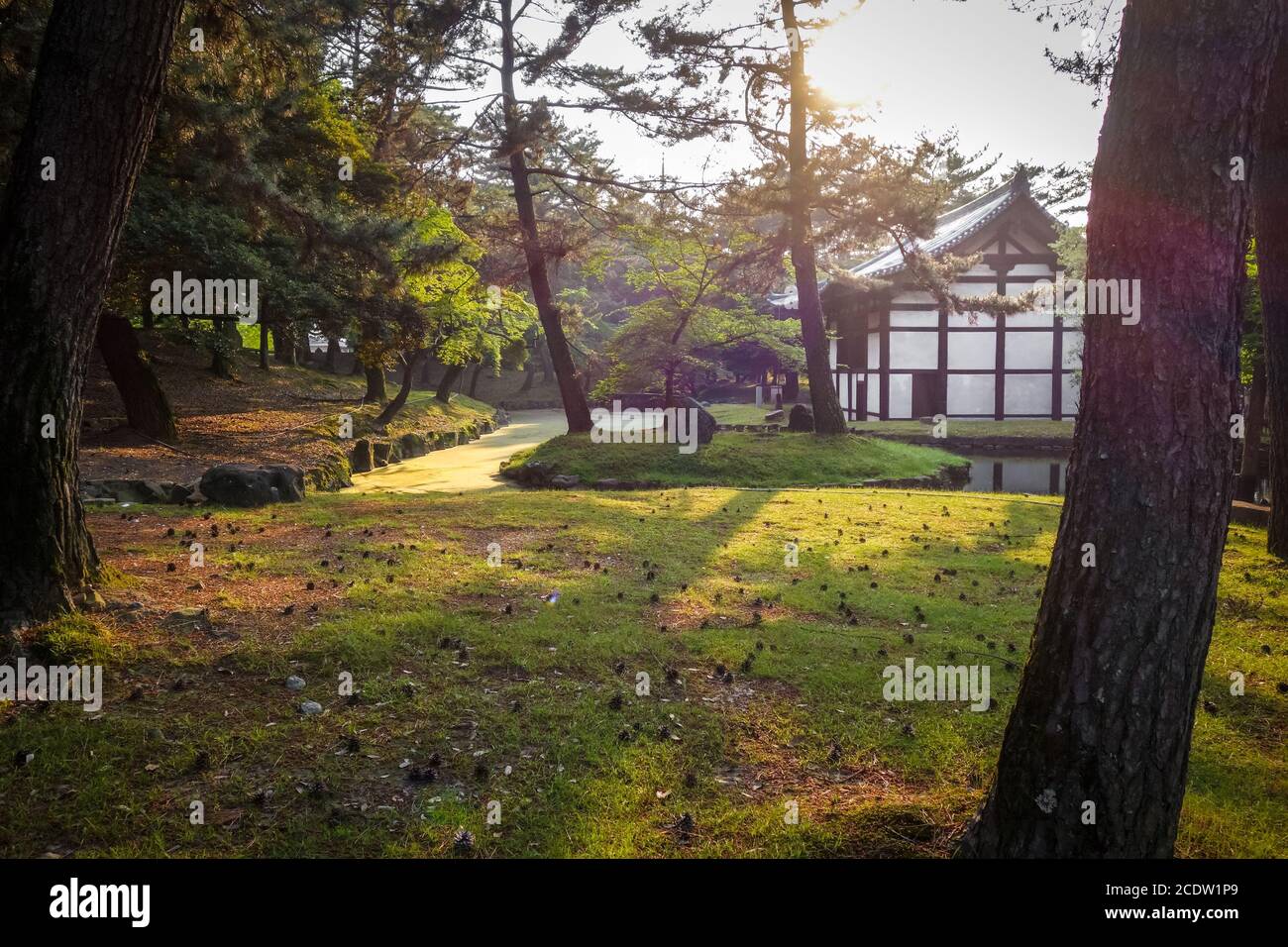 Parc de nara Banque de photographies et d’images à haute résolution - Alamy