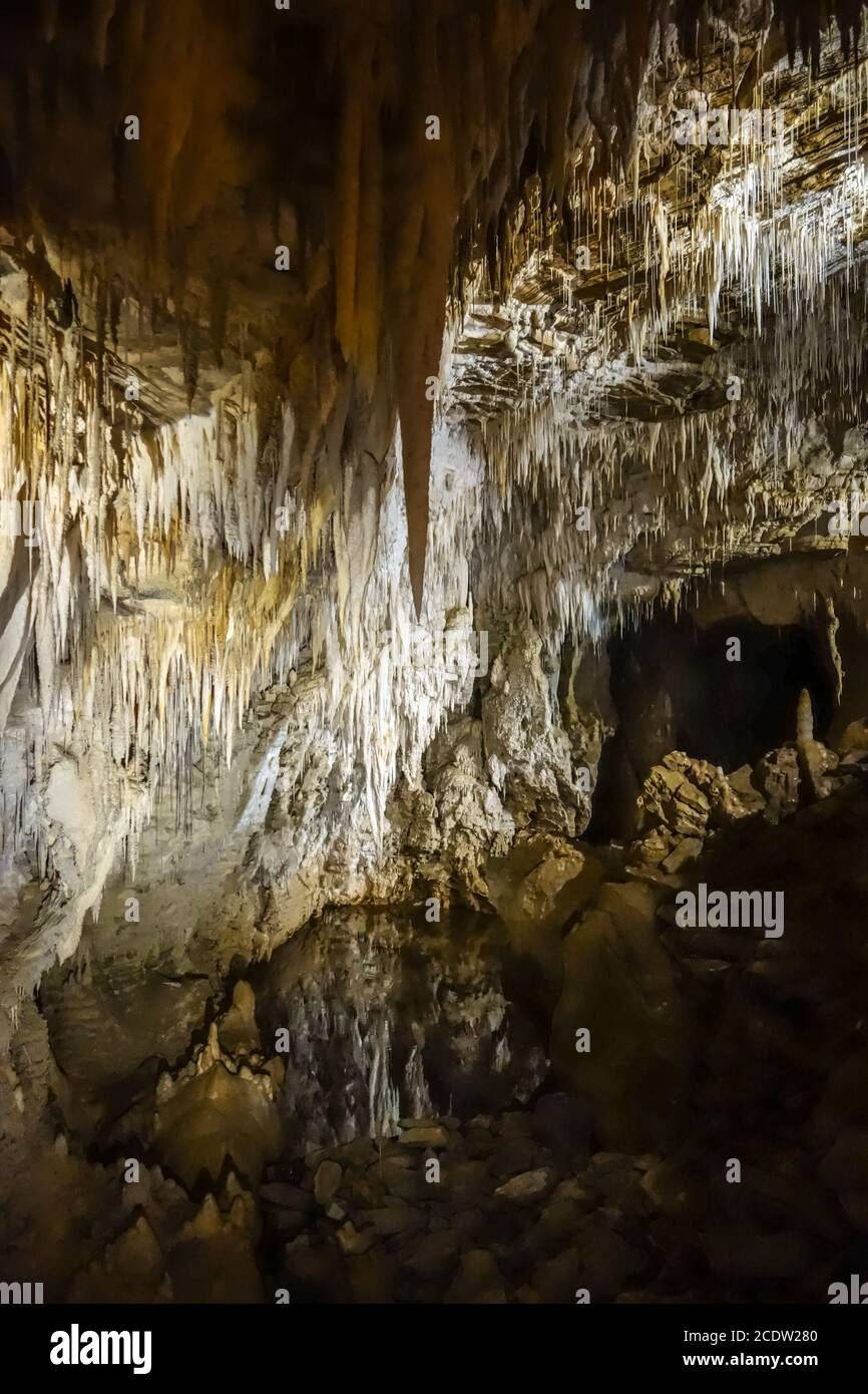 Waitomo Glowworm Caves Nouvelle Zélande Banque d'image et photos - Alamy