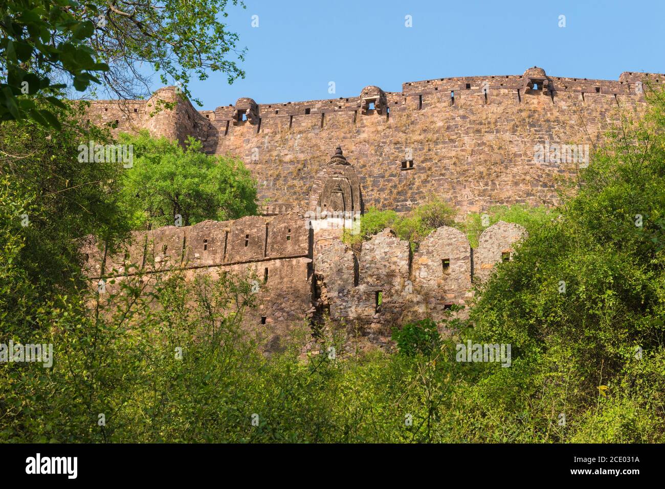 Parc national de ranthambhore Banque de photographies et d’images à ...