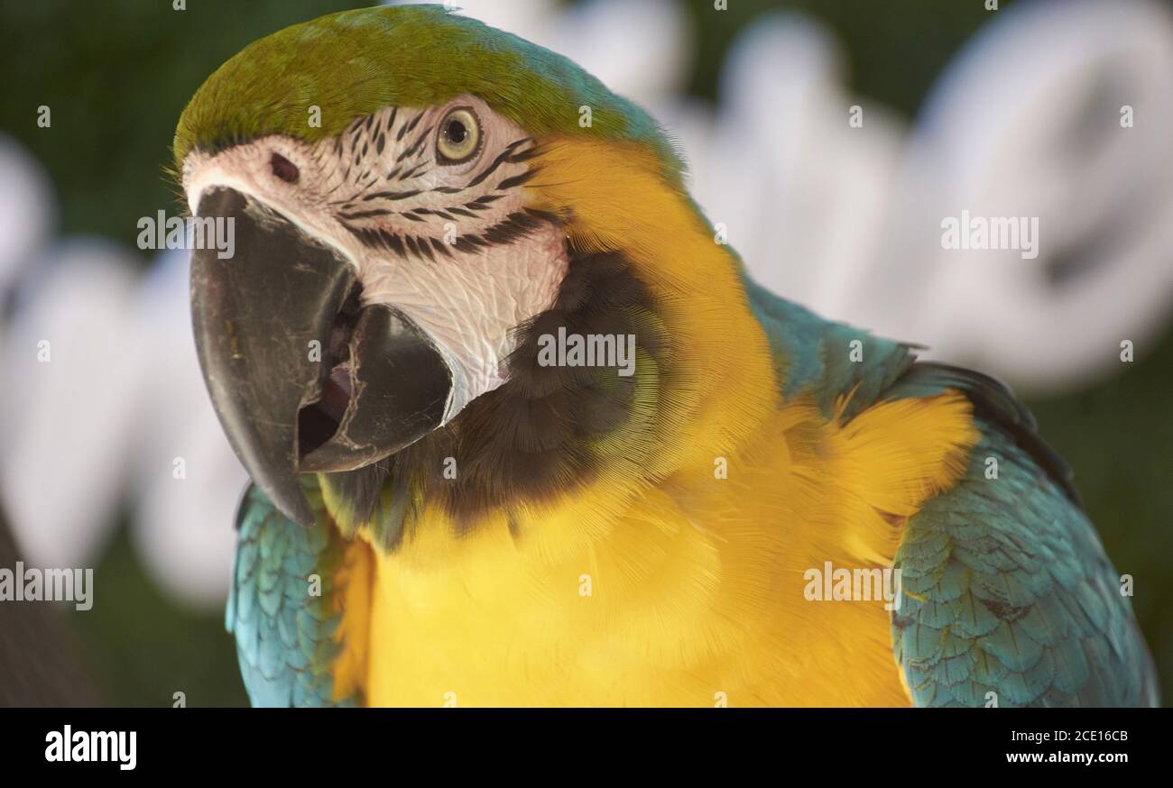 Trois quarts Banque de photographies et d’images à haute résolution - Alamy