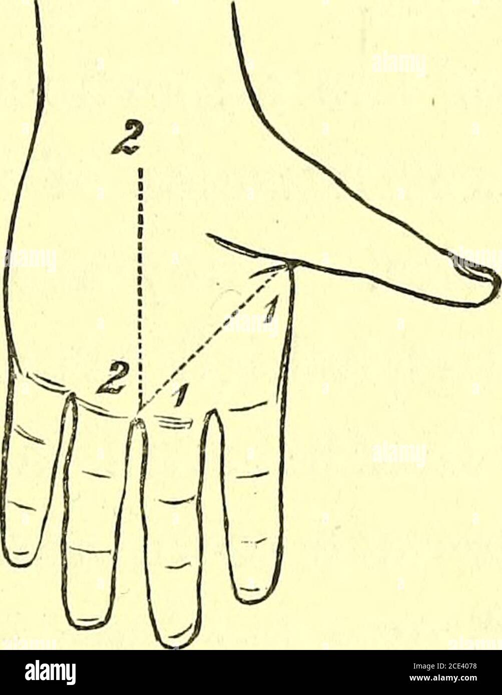 . Un manuel de dissection du corps humain [ressource électronique ...