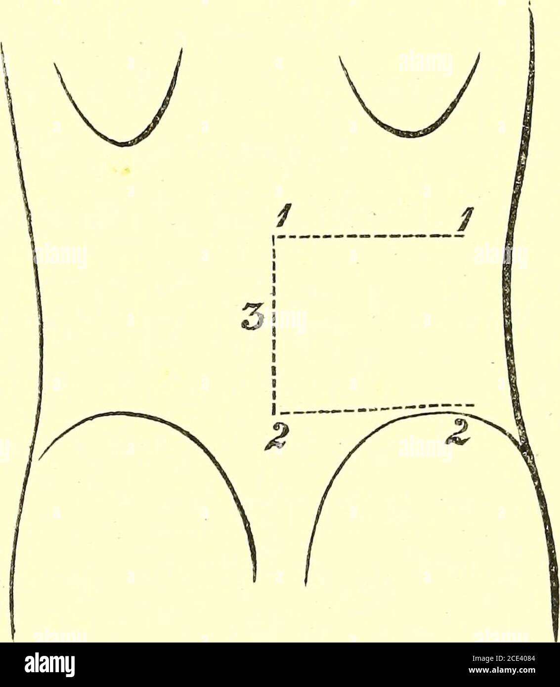 . Un manuel de dissection du corps humain [ressource électronique ...