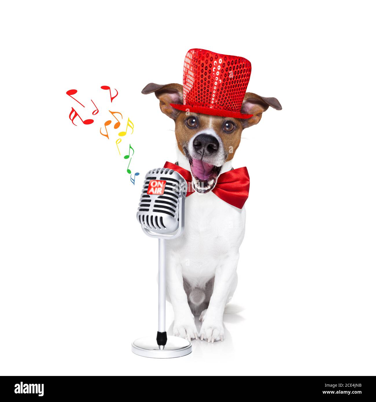 Chant chien Banque de photographies et d’images à haute résolution - Alamy