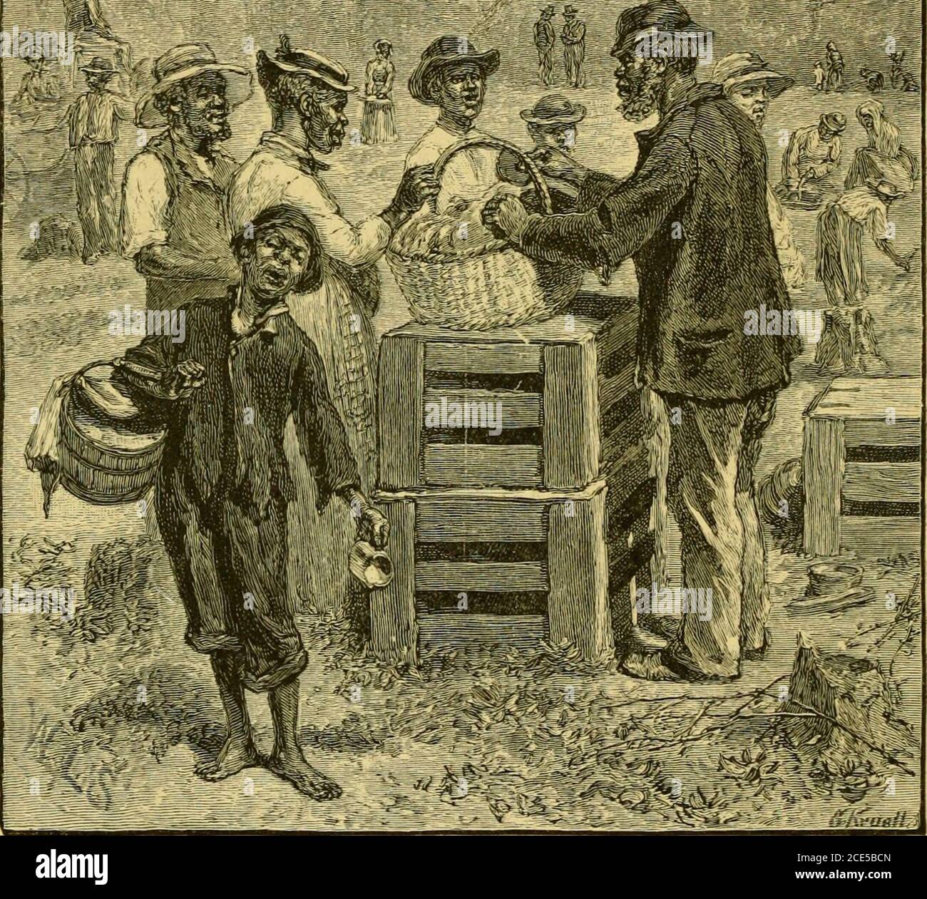 . Succès avec les petits fruits . à tête nue, à pattes nues, et souvent ...